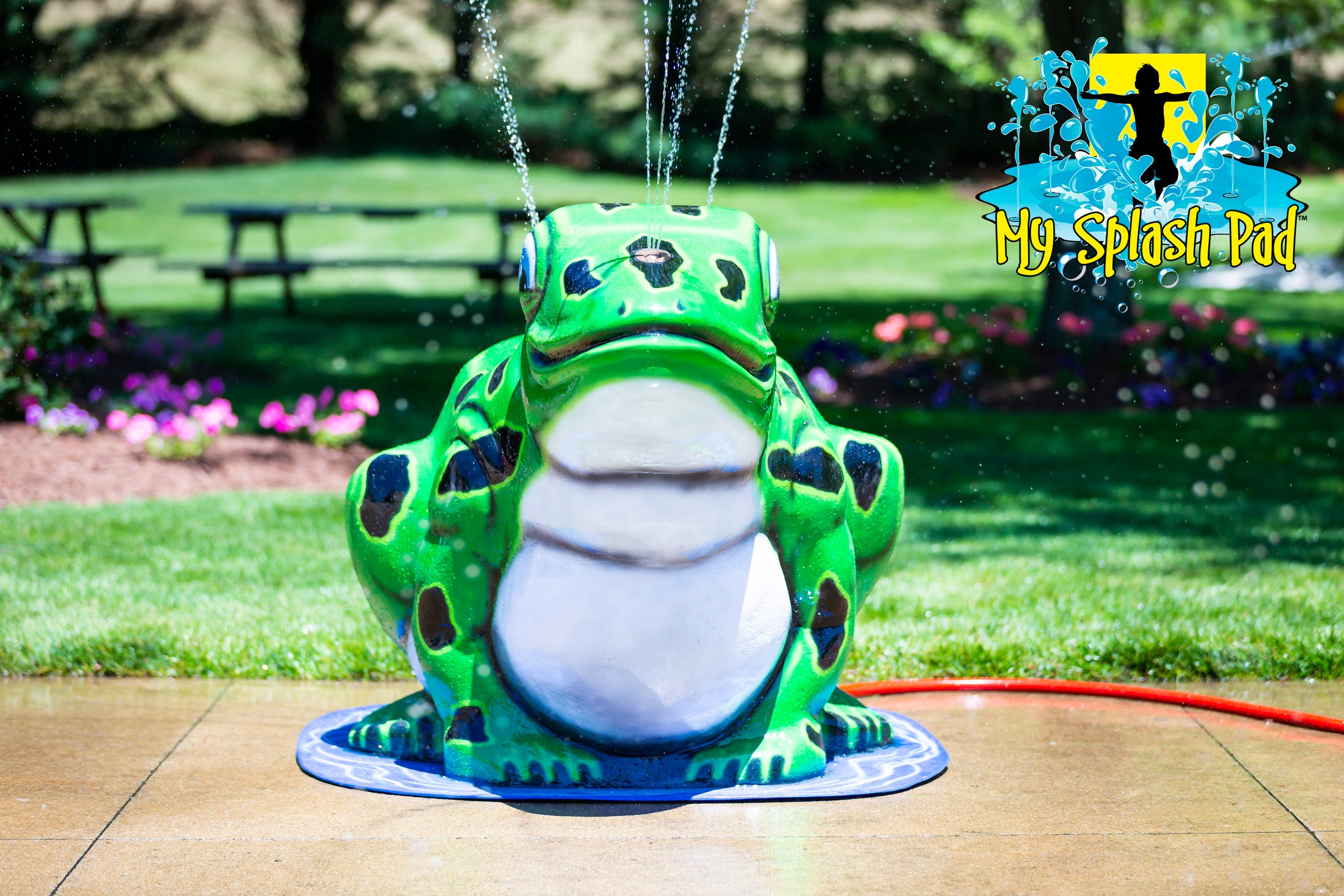 Frog Mobile Spray and Play Features by My Splash Pad ...