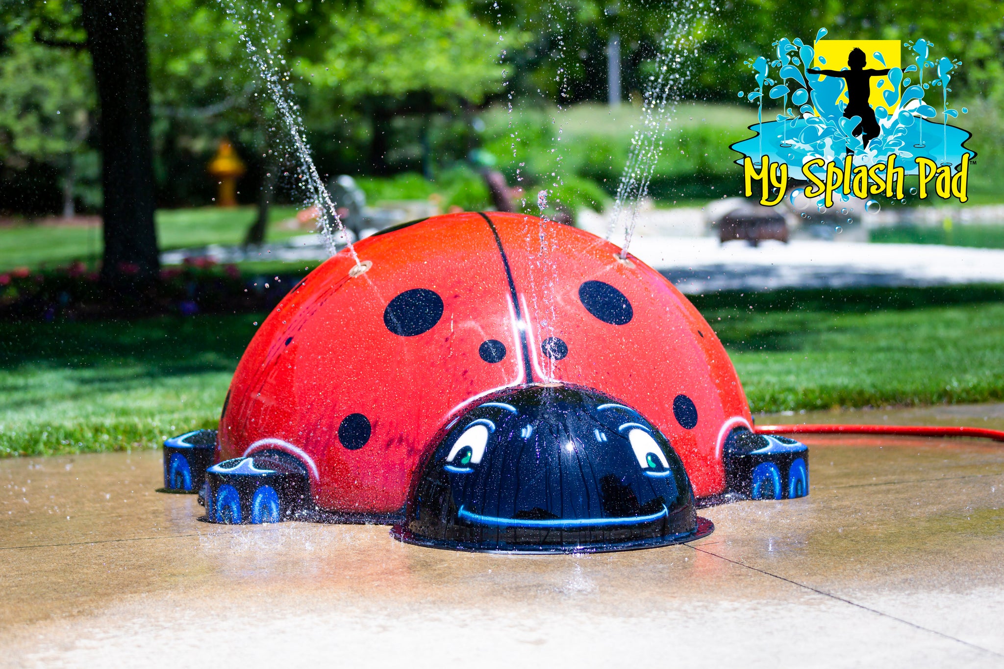 Large Ladybug Mobile Spray & Play Features by My Splash Pad ...