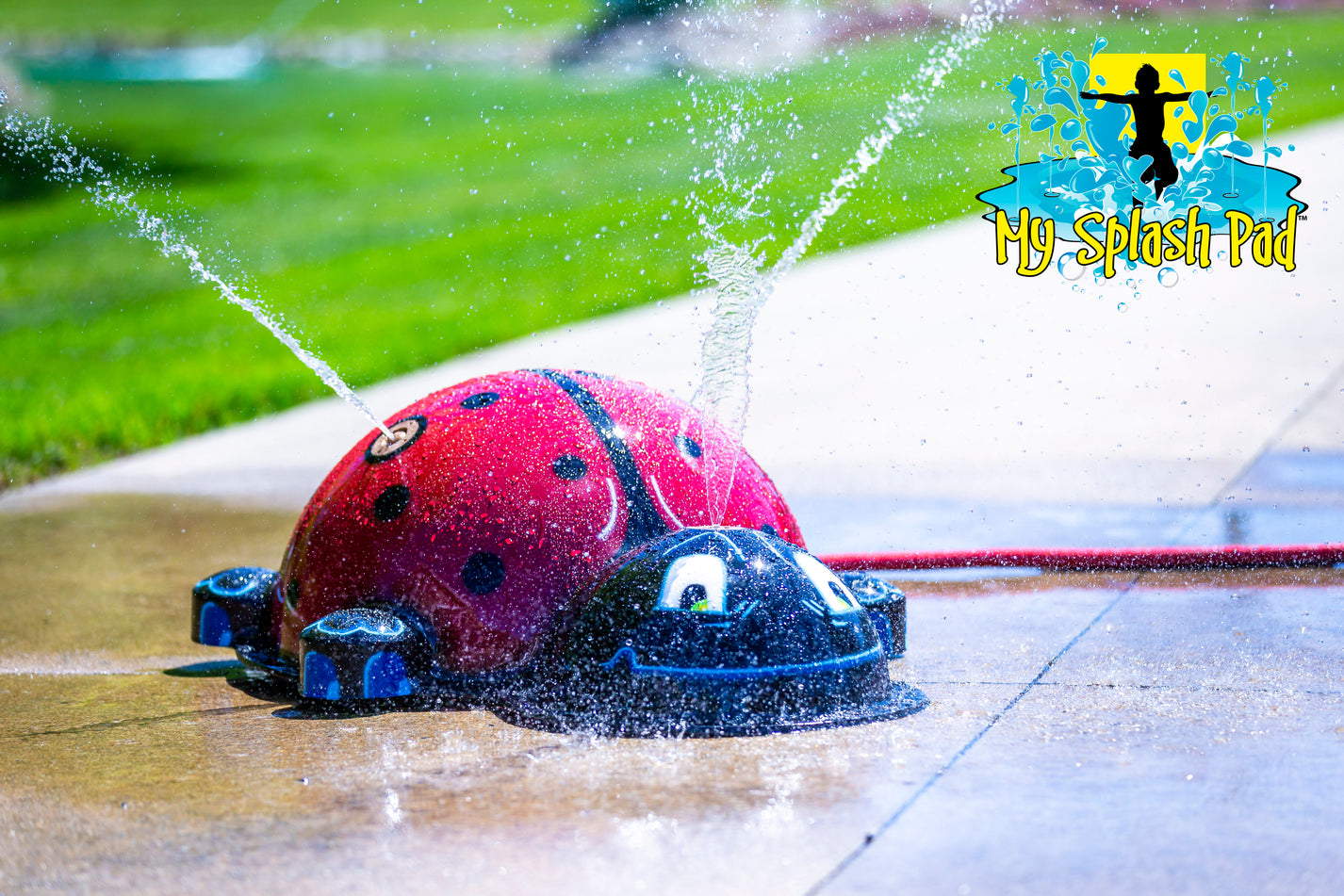 Small Ladybug Mobile Spray and Play Features by My Splash Pad ...